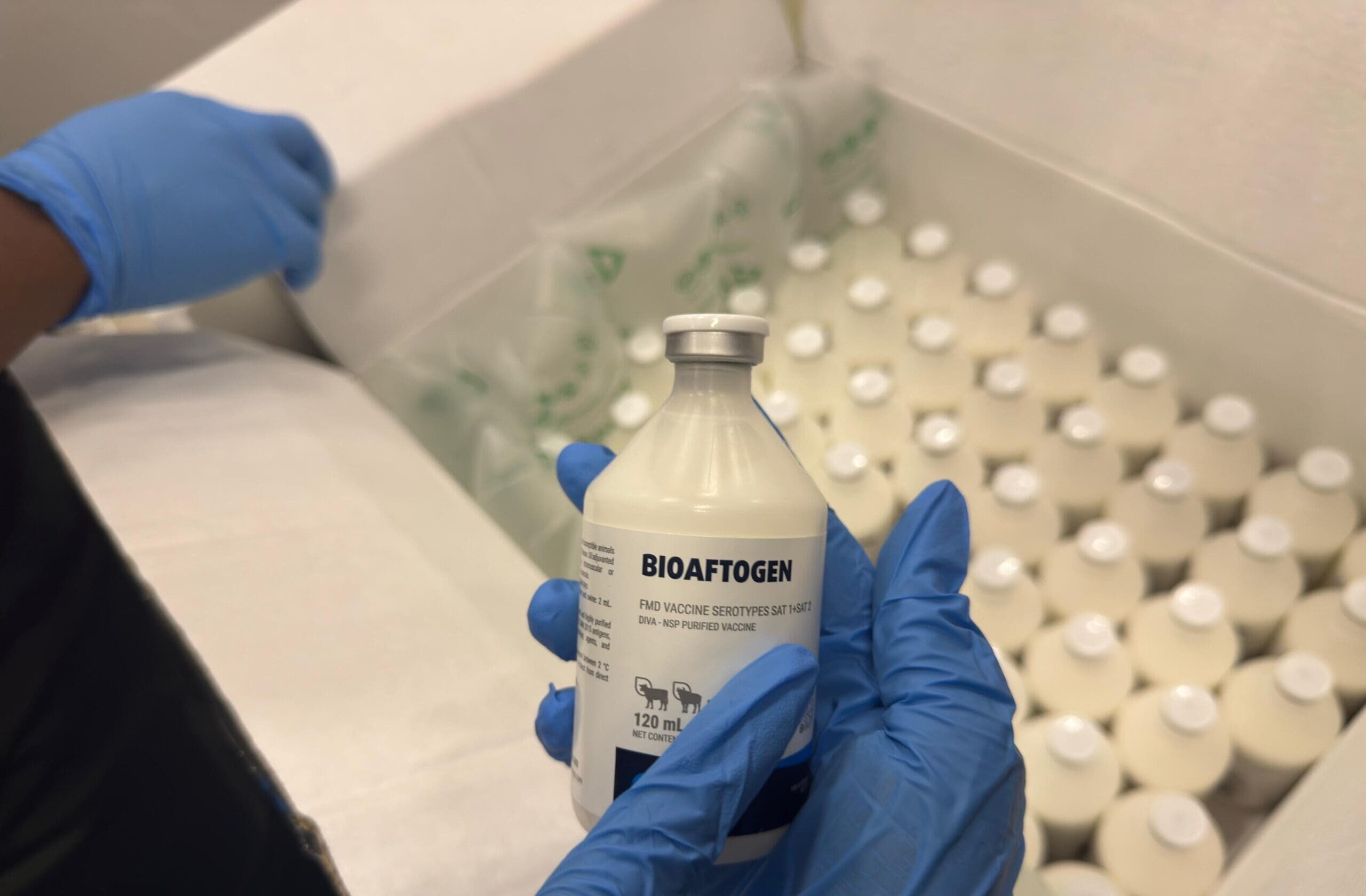 Private vets now eligible to register for FMD vaccine rollout — Vutivi